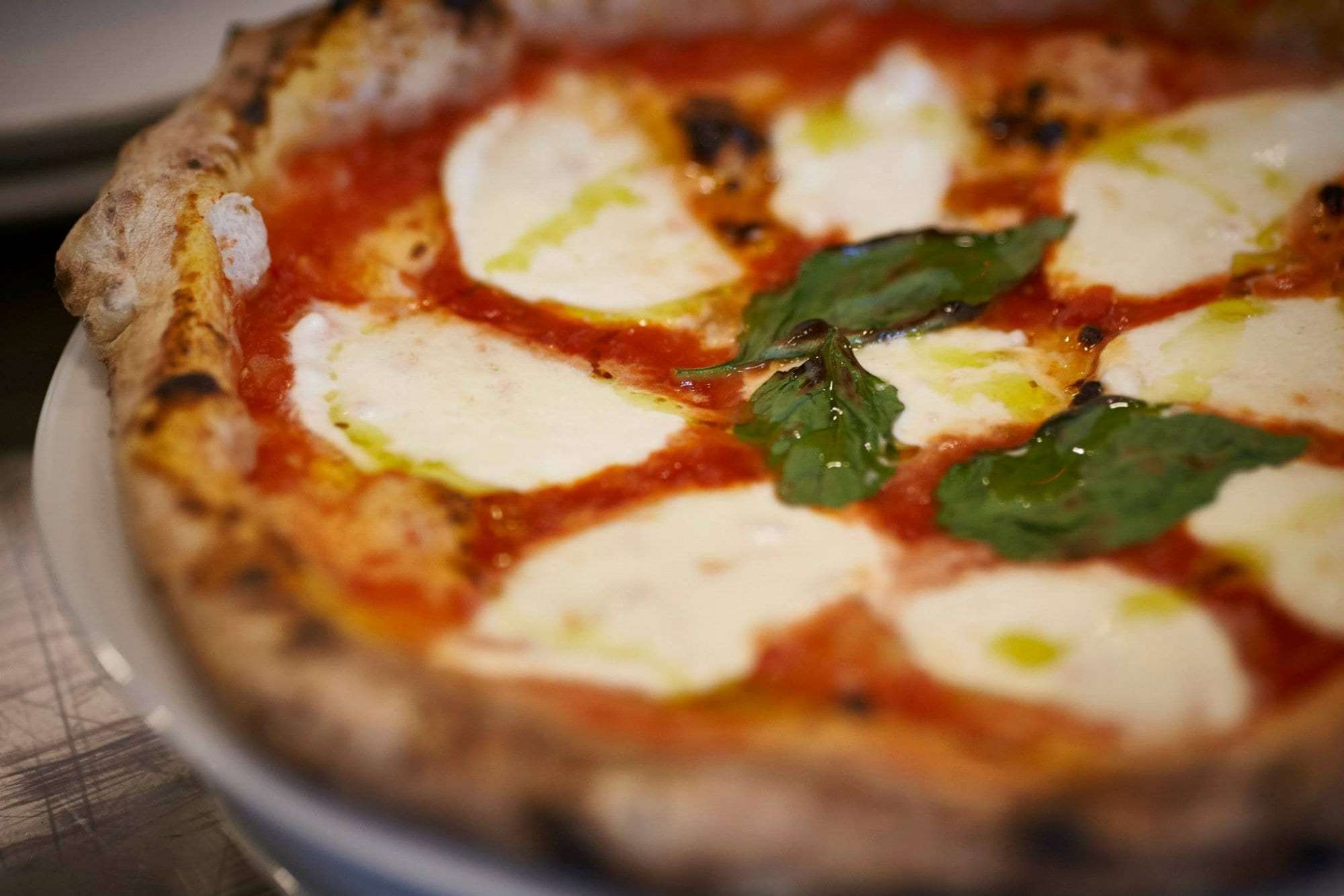 DEGUSTA - Zanussi Professional